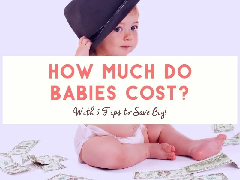 How Much Do Babies Cost Make The Numbers Work Babiesforbeginners