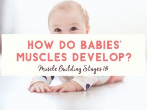 How Do Babies' Muscles Develop? - babiesforbeginners.com